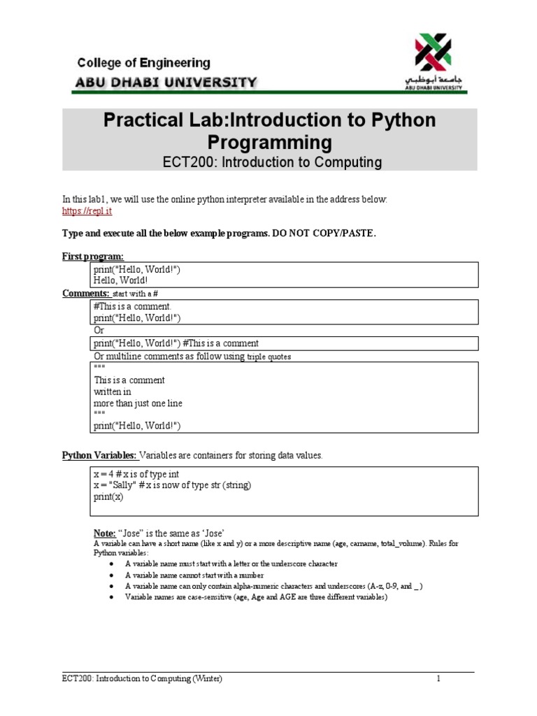 Introduction to Python Programming: A Guide to Variables, Data Types ...
