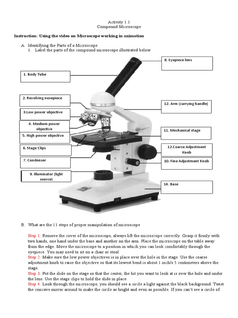 Instruction: Using The Video On Microscope Working in Animation | PDF ...