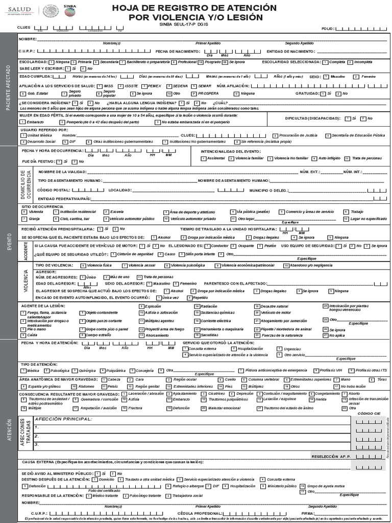Formato de Lesiones - Sinba | PDF | Violencia | Herida