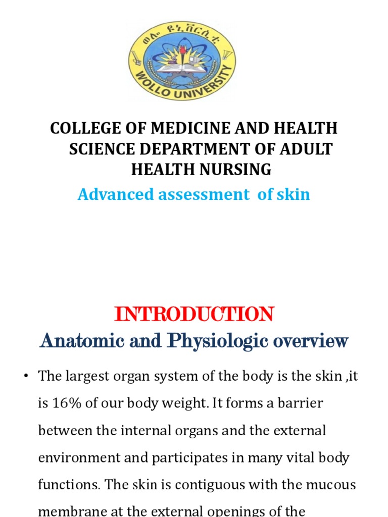Skin Assessment | PDF | Anatomy | Medicine