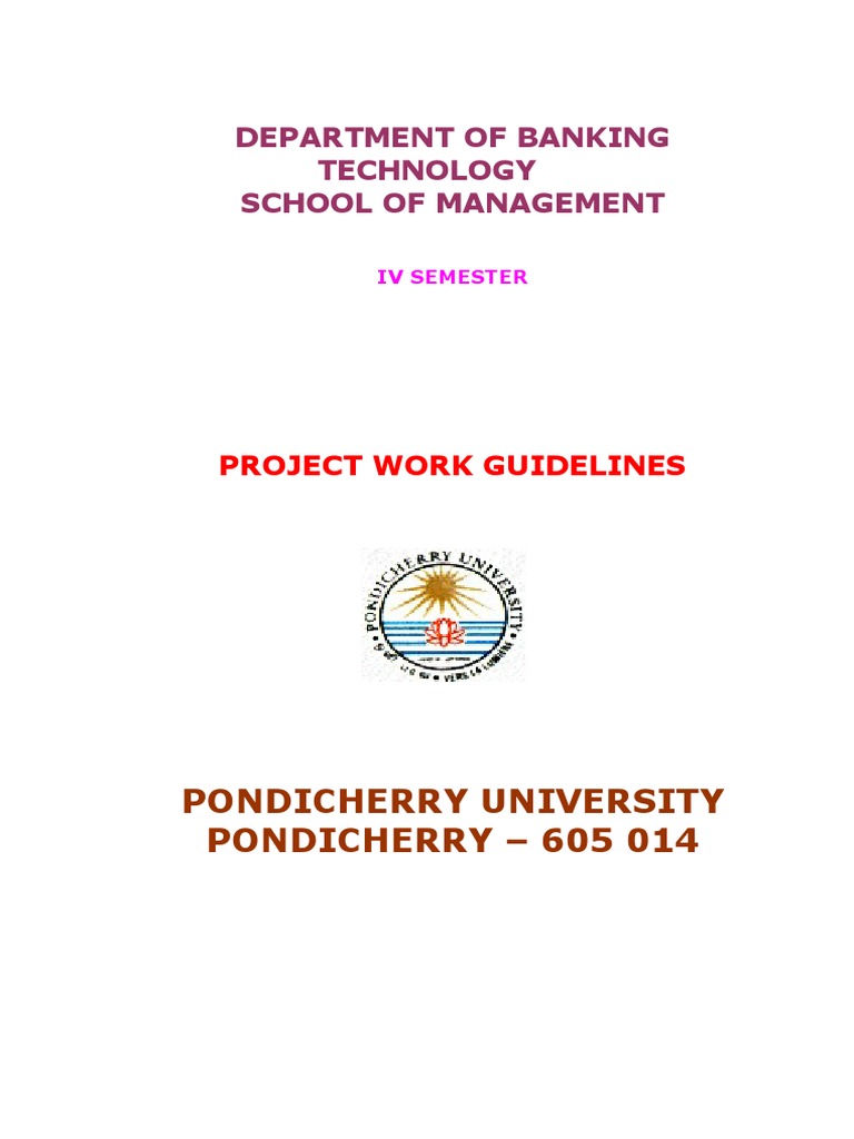 Summer Project Work Guidelines | PDF | Loans | Brand