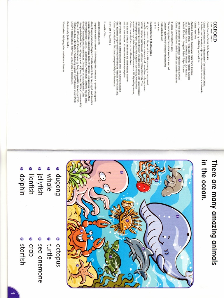 In The Ocean | PDF