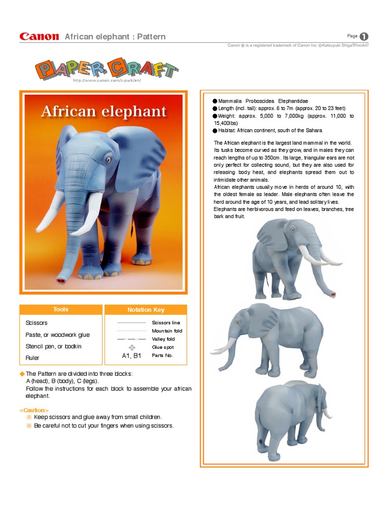 African Elephant: Pattern: Notation Key Tools | PDF | Elephant | Zoology