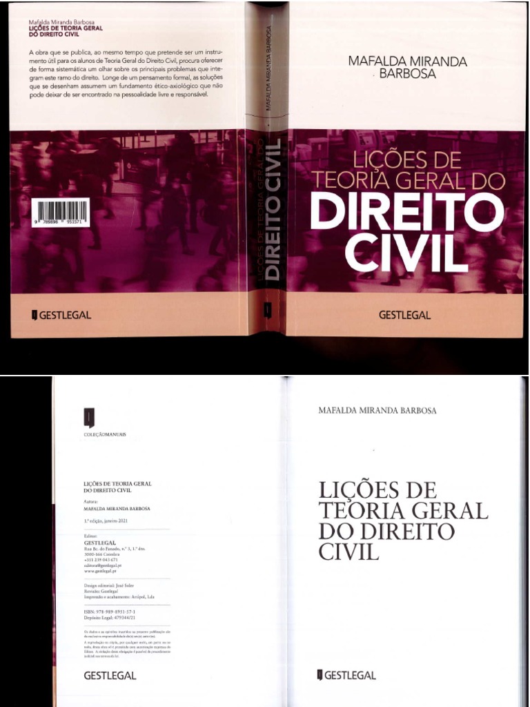 Teoria Geral Do Direito Civil - Dra. Mafalda | PDF