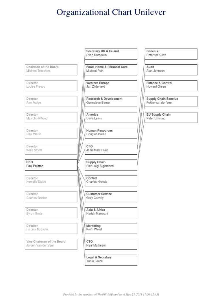 Unilever Organizational Structure 2024 | PDF
