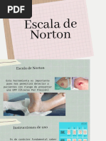 Escala de Flebitis | PDF
