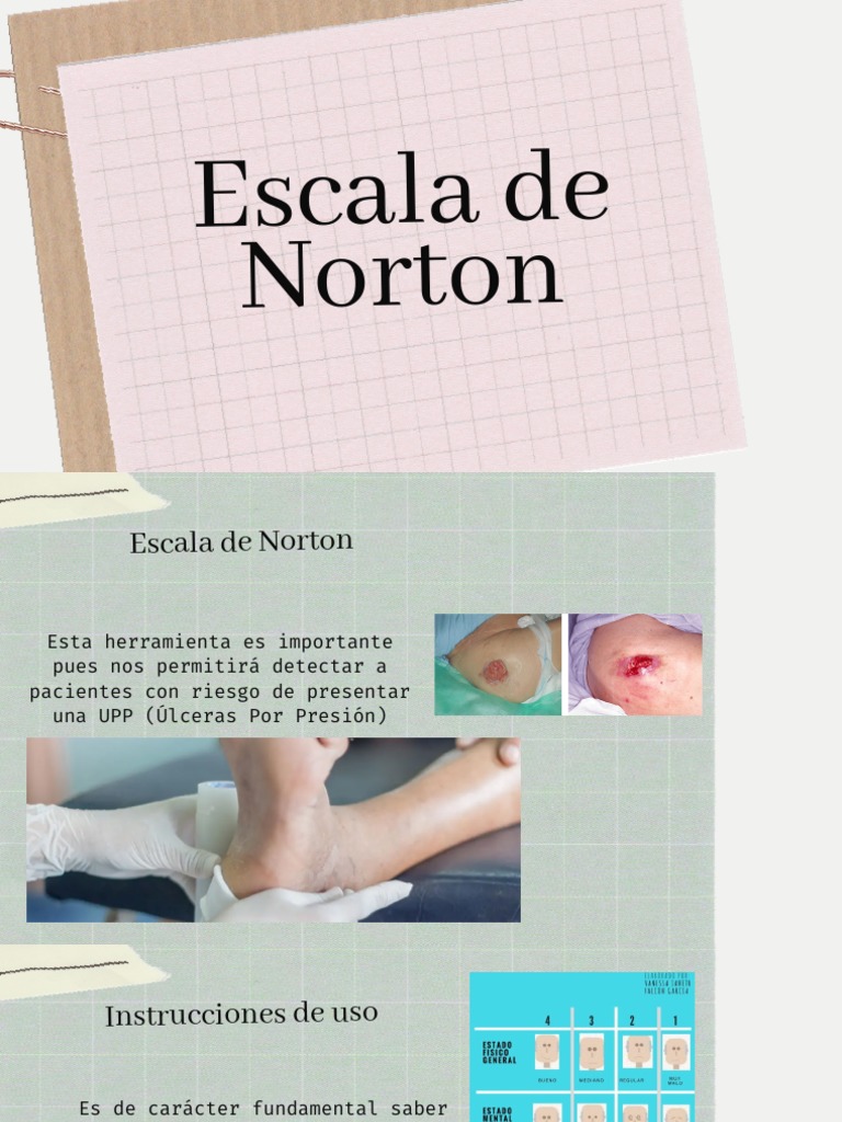 Escala de Norton | PDF