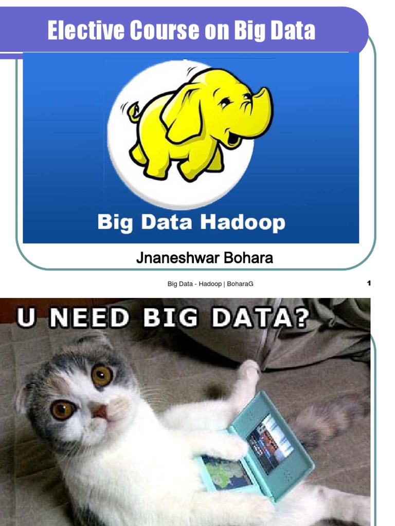 Big Data Overview | PDF | Apache Hadoop | No Sql