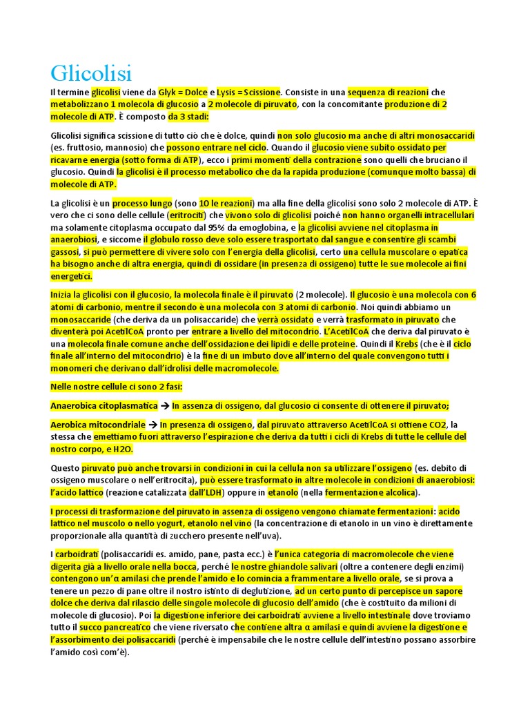 Glicolisi | PDF