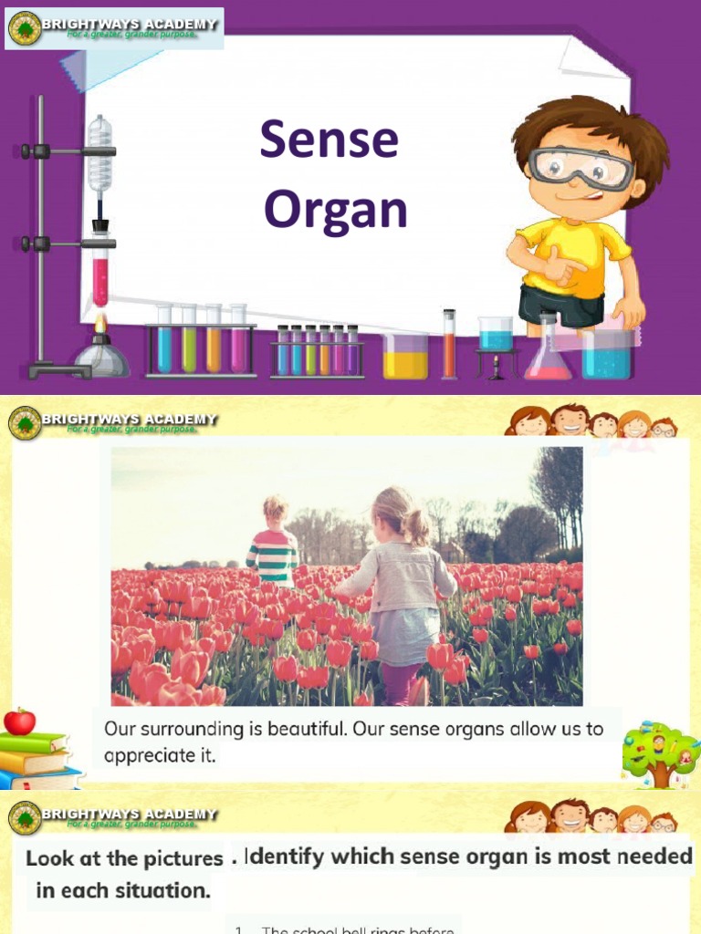 2nd Quarter - Science 2 - Lesson 1 | PDF