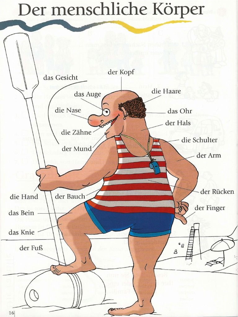 Der Menschliche Korper - Ubungen | PDF