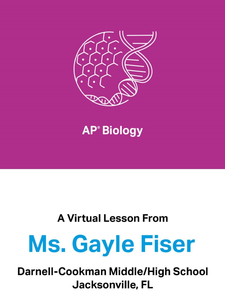 Environmental Effects on Phenotype and Chromosomal Inheritance | PDF ...