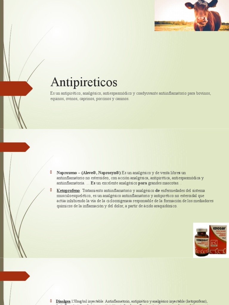 Antipireticos | PDF