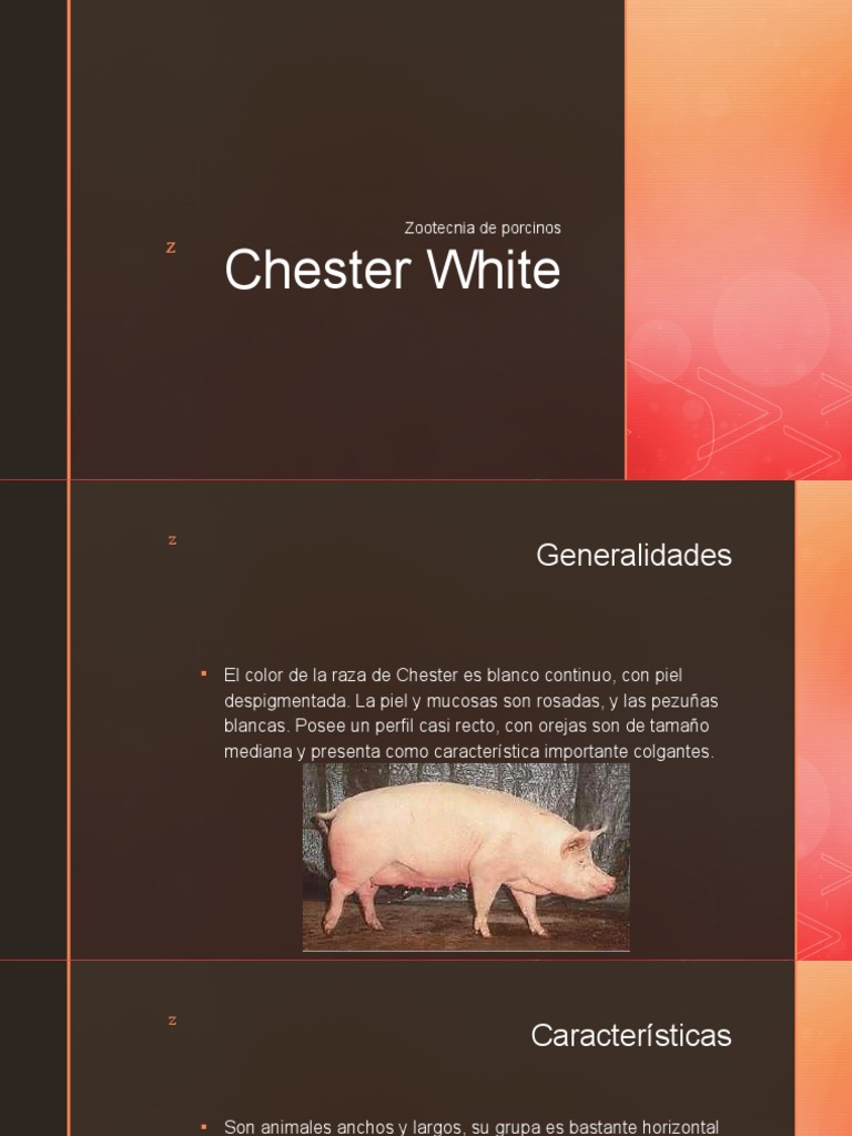 Chester White | PDF