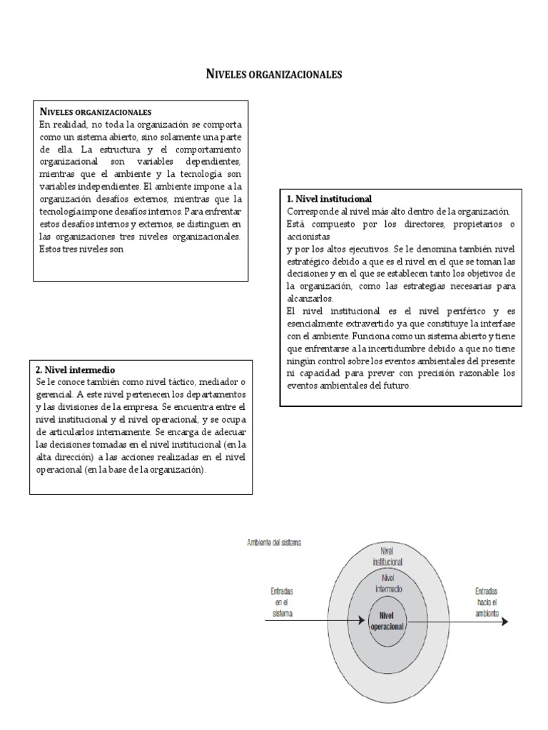 Niveles Organizacionales | PDF