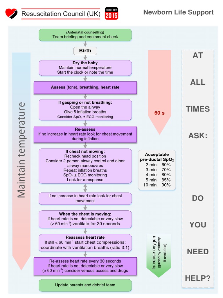 Neonatal Life Support UK Ressusstation Council G2015 - NLS | PDF ...