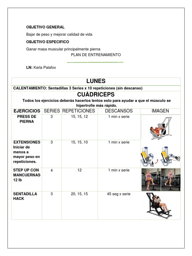 Plan de Entrenamiento GYM | PDF | Entrenamiento con pesas | Sistema ...