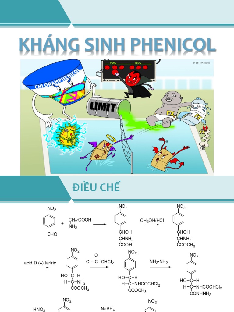 Kháng Sinh Phenicol | PDF
