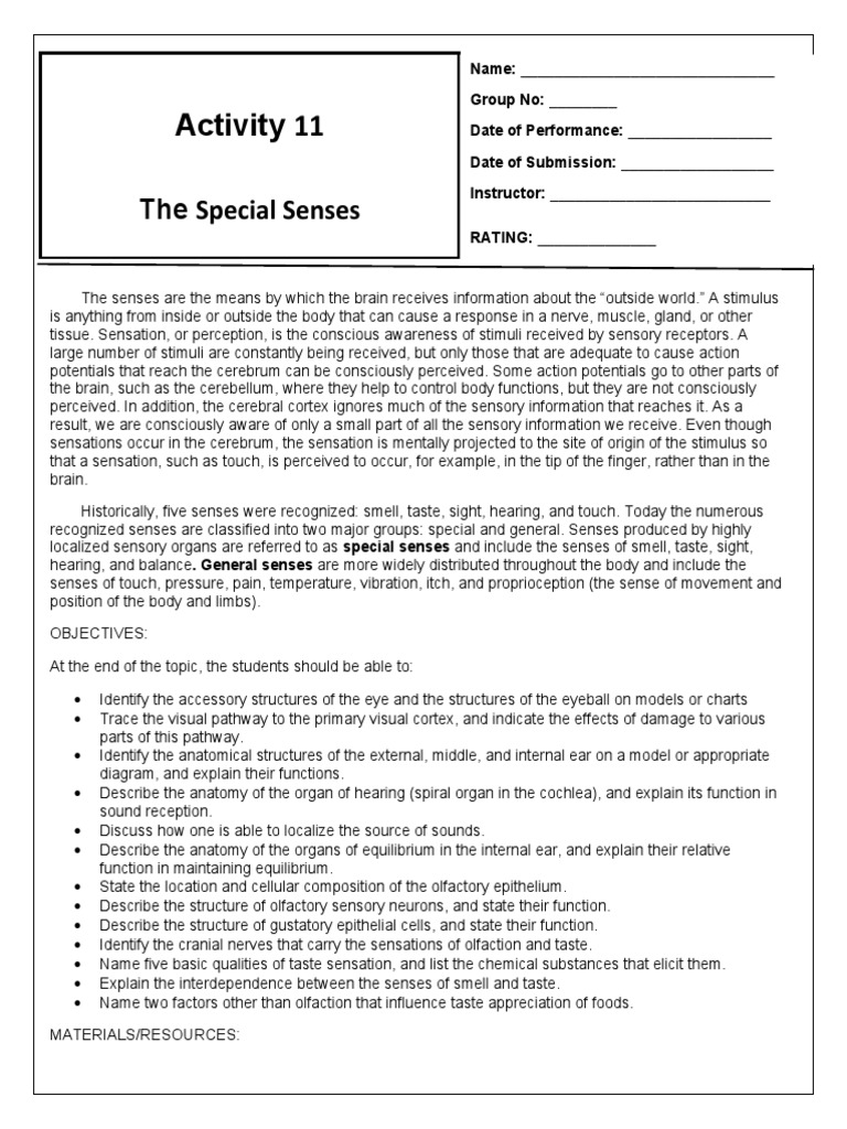 Activity 11 The Special Senses | PDF | Senses | Ear