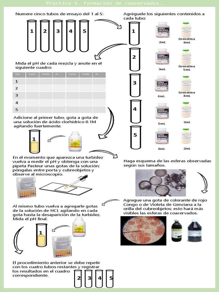 DDF Formación de Coacervados | PDF | Ciencias fisicas | Química analítica