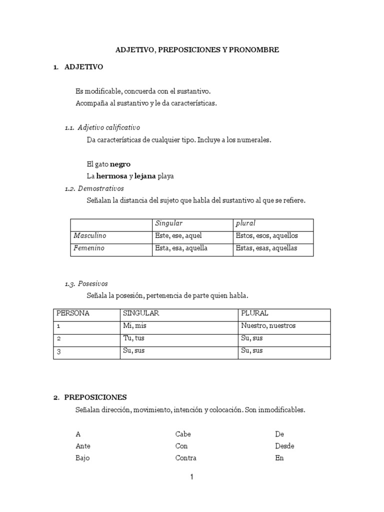 Adjetivos, Preposiciones y Pronombres | PDF | Adjetivo | Sustantivo
