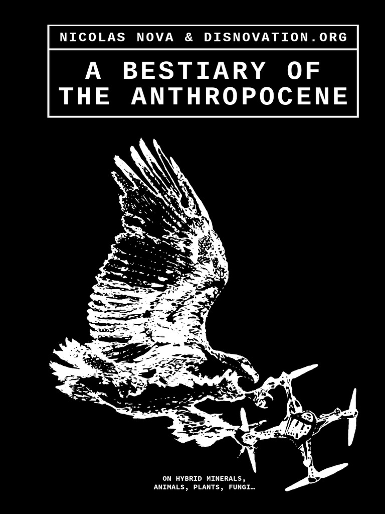 Bestiary of the Anthropocene Overview | PDF | Rock (Geology) | Nature