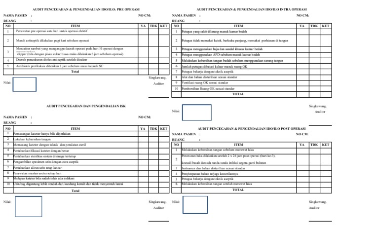 Form Audit IDO-ISK | PDF