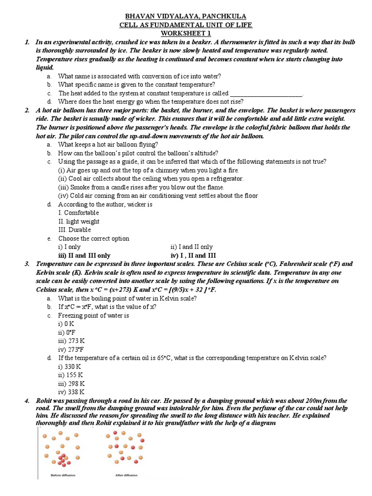 States of Matter and Their Interconversion | PDF | Plasma (Physics) | Gases