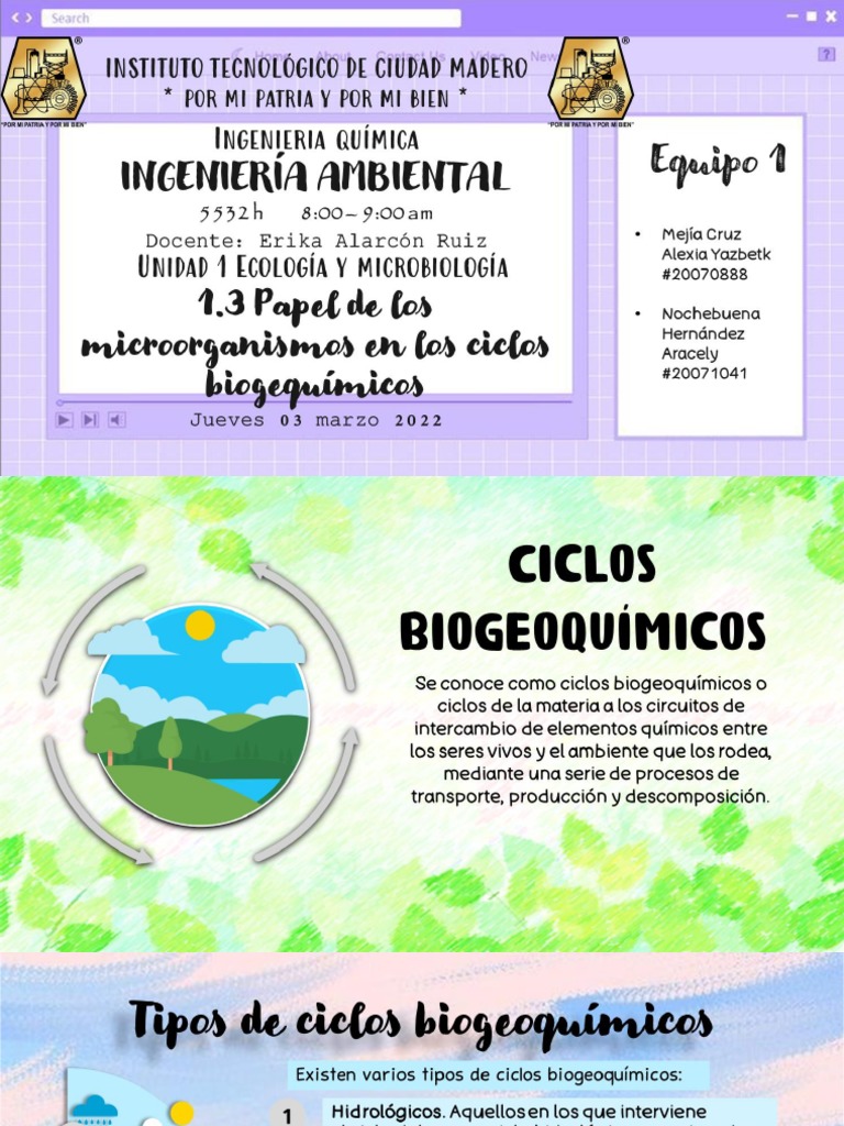 Ciclos CHONPS | PDF