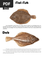 NOAA Shark Identification Placards | PDF | Sharks | Vertebrates