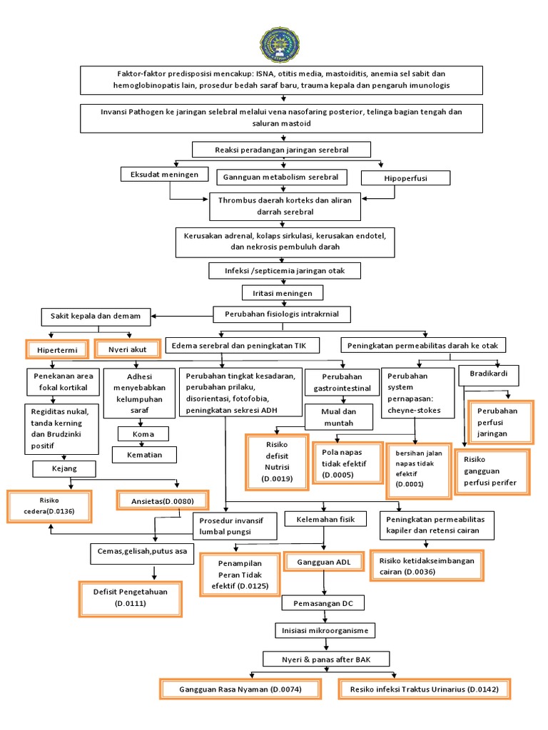 Pathway Meningitis Kel.7 | PDF