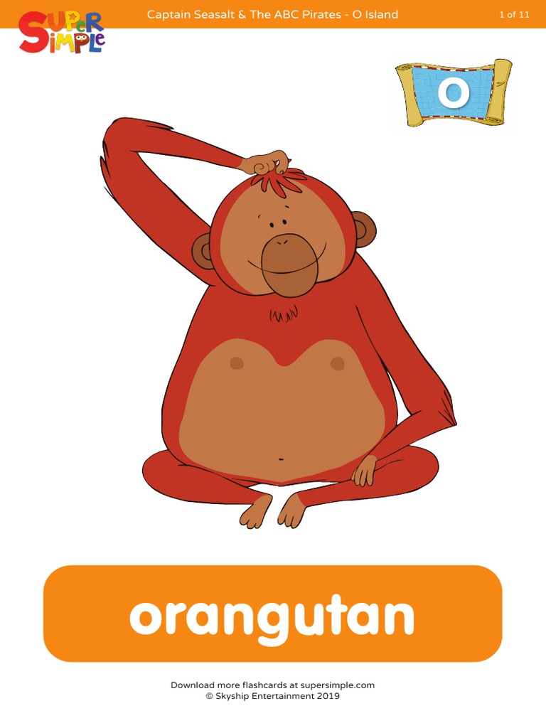 Abc Pirates o Flashcards | PDF