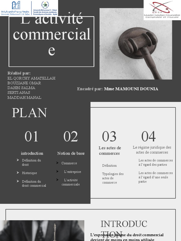 L'activité Commerciale Final | PDF | Commerce | Business