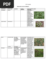 A List of Forage Grasses and Scoentific Name | PDF | Legume | Clover