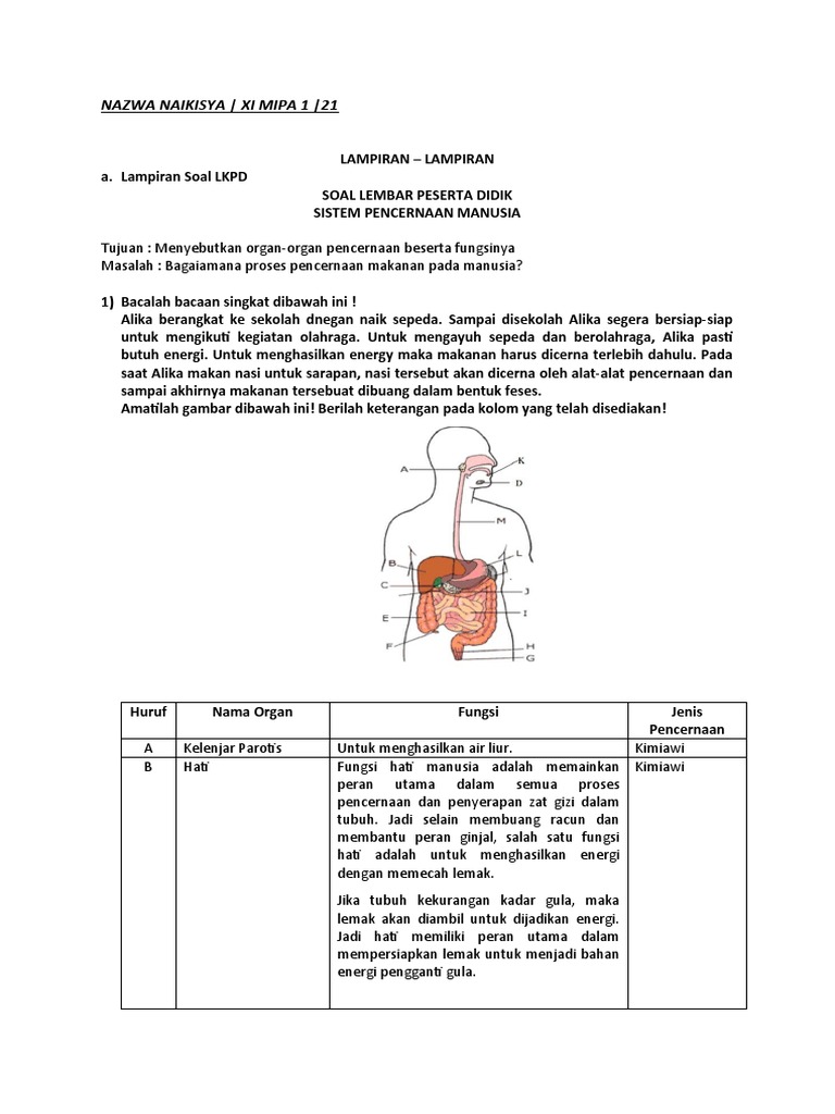 Soal LKPD Sistem Pencernaan Kelas XI | PDF