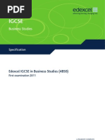 Edexcel IGCSE Business Studies Guide | PDF | Knowledge | Data