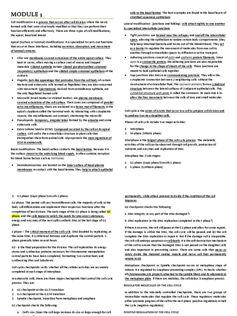 GEN BIO Cell Modification | PDF | Cell Cycle | Epithelium
