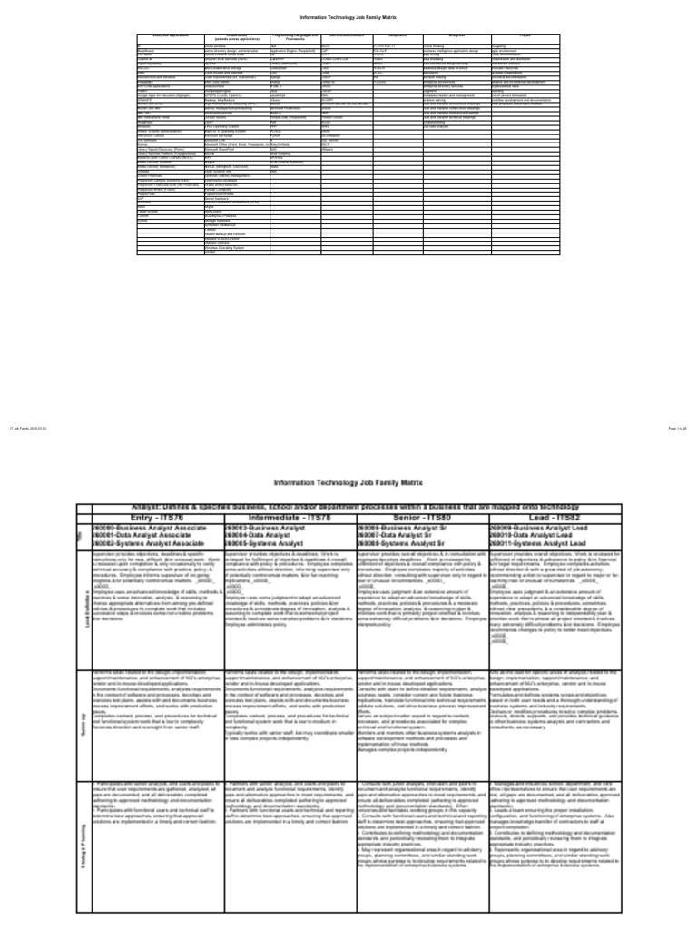 Information Technology Job Family Matrix | Download Free PDF ...
