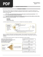 Grade 10 3rd Quarter DLL | PDF | Menstrual Cycle | Endocrine System