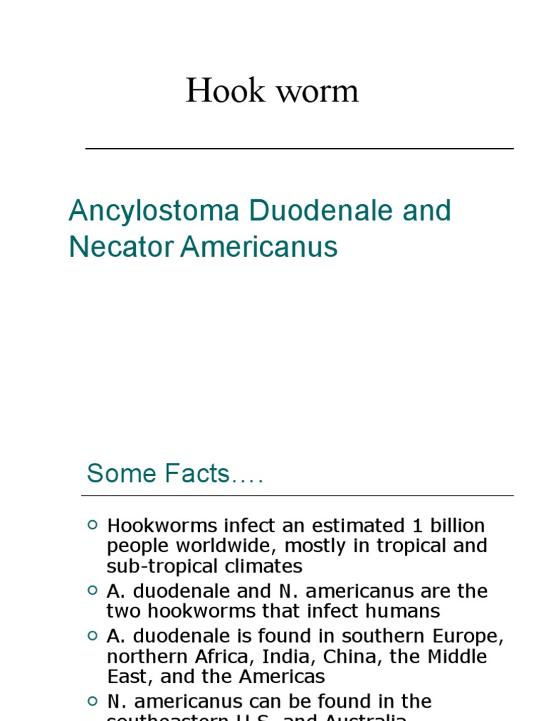 Hook Worm: Ancylostoma Duodenale and Necator Americanus | PDF ...