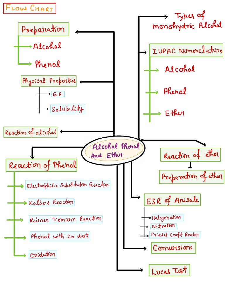 Mind Maps Alcohol Phenol | PDF
