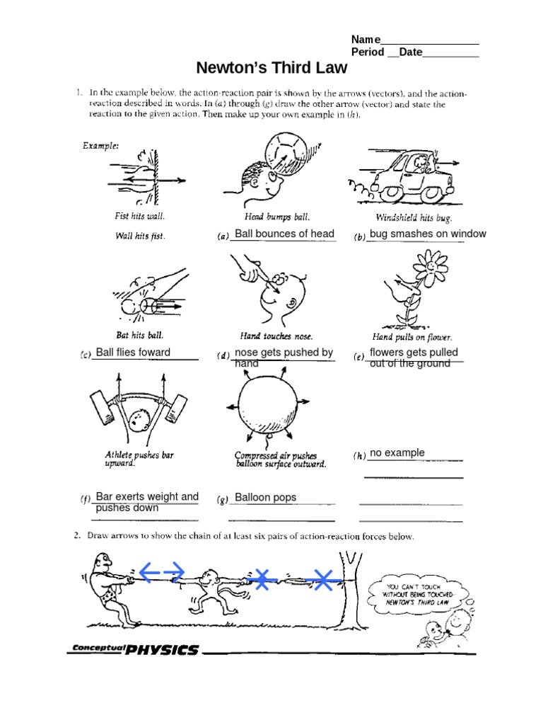 3rd Law Worksheet | PDF