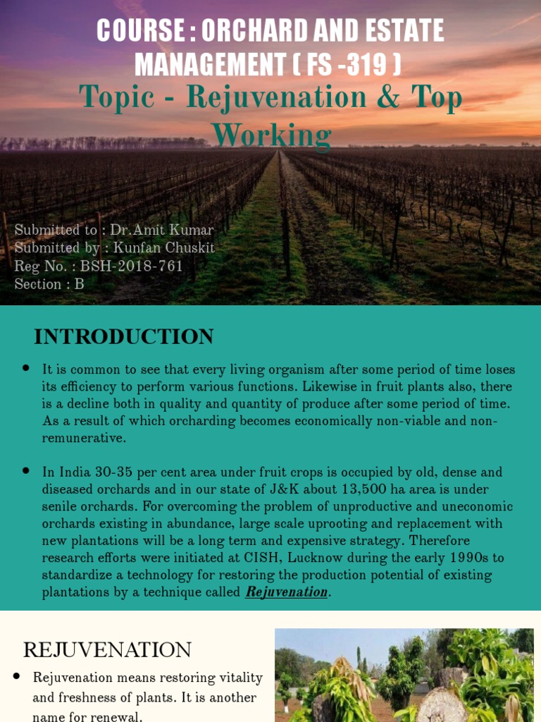 Course: Orchard and Estate Management (Fs - 319) : Topic - Rejuvenation ...