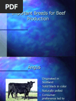 Bovine Breed Codes List | PDF | Livestock | Mammal Breeds