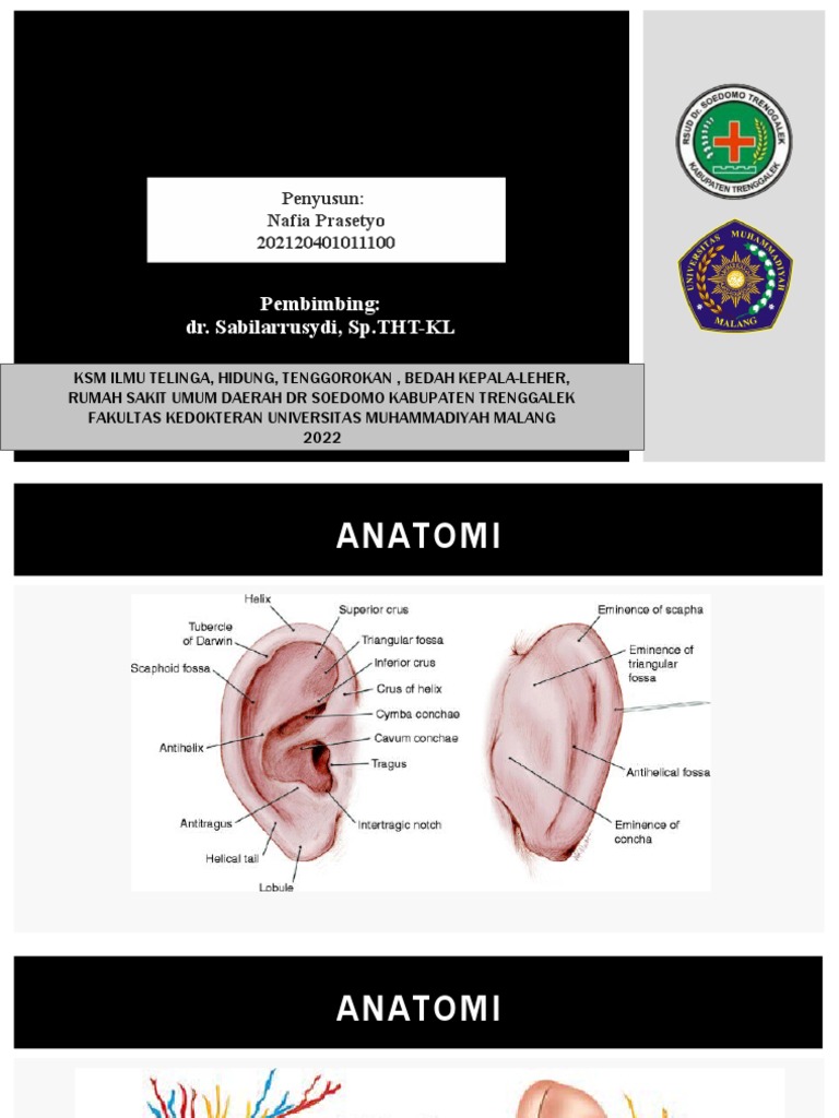 Materi Othematom & Perikondritis | PDF