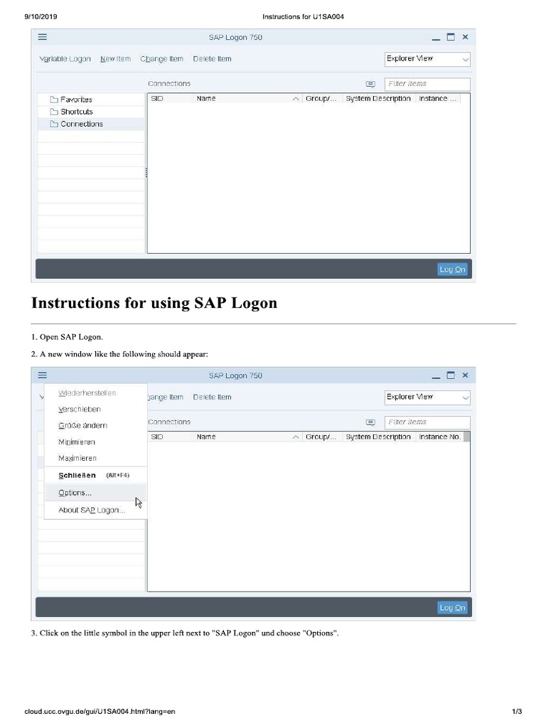 Instruction For Use Sap Logon | PDF