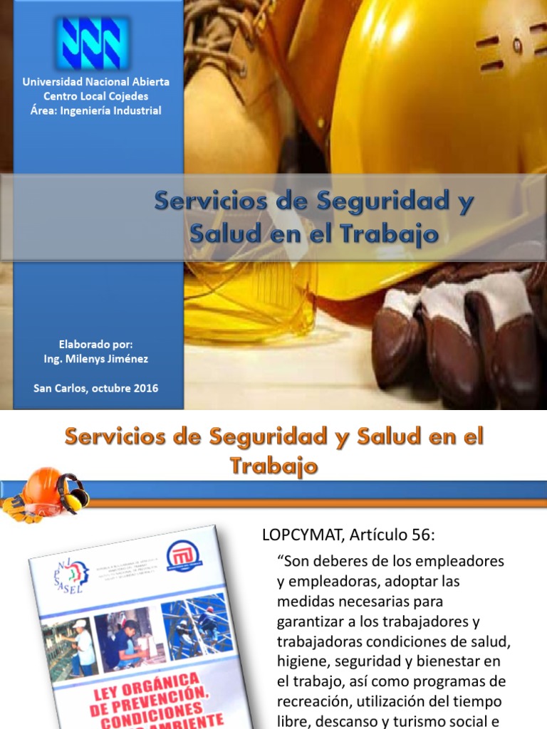 Servicios de SST | PDF | Business | Turismo