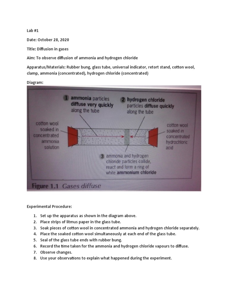 Chemistry Lab 1 | PDF | Ammonia | Diffusion