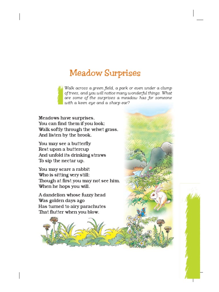 8._meadow_surprises | PDF