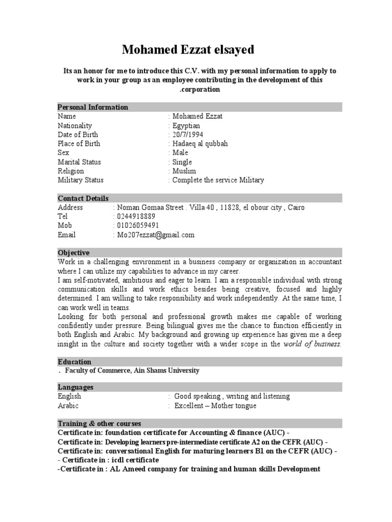 Mohamed Ezzat Elsayed CV: Accountant | PDF